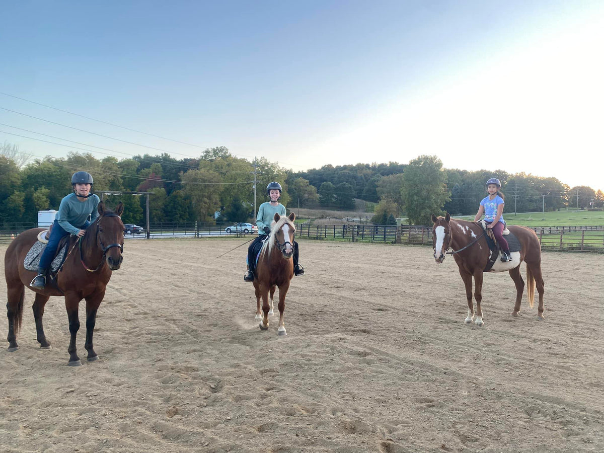 Horseback Riding Lessons for Beginners and Intermediate Riders ...